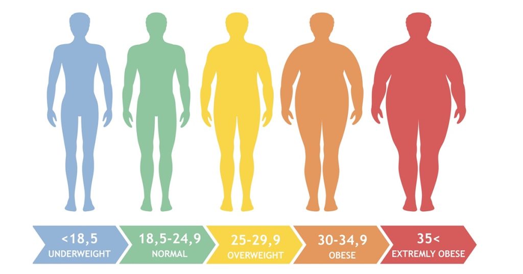 体脂肪とBMI（体格指数）の測定 | びじぱぱノート